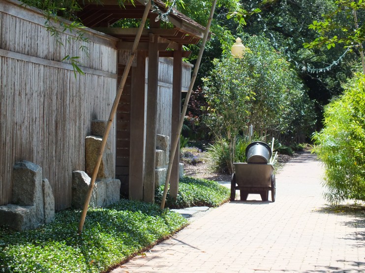Robin Tanner | U.S. Japanese Gardens