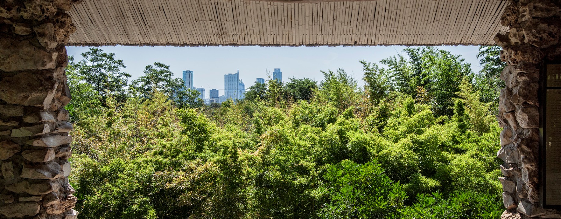 Taniguchi’s gift to the city of Austin | U.S. Japanese Gardens