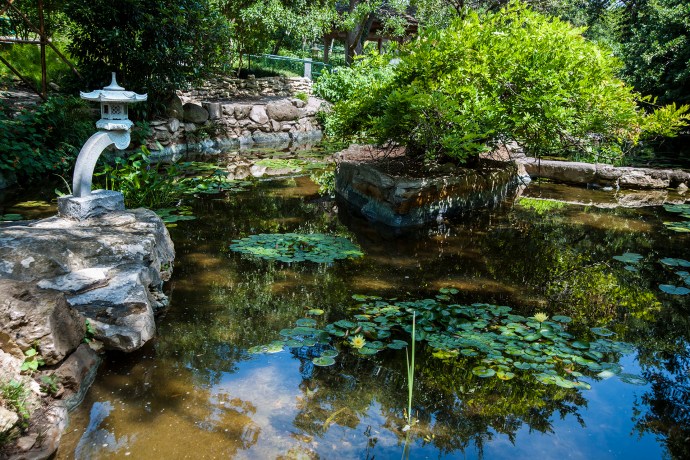 Taniguchi’s gift to the city of Austin | U.S. Japanese Gardens